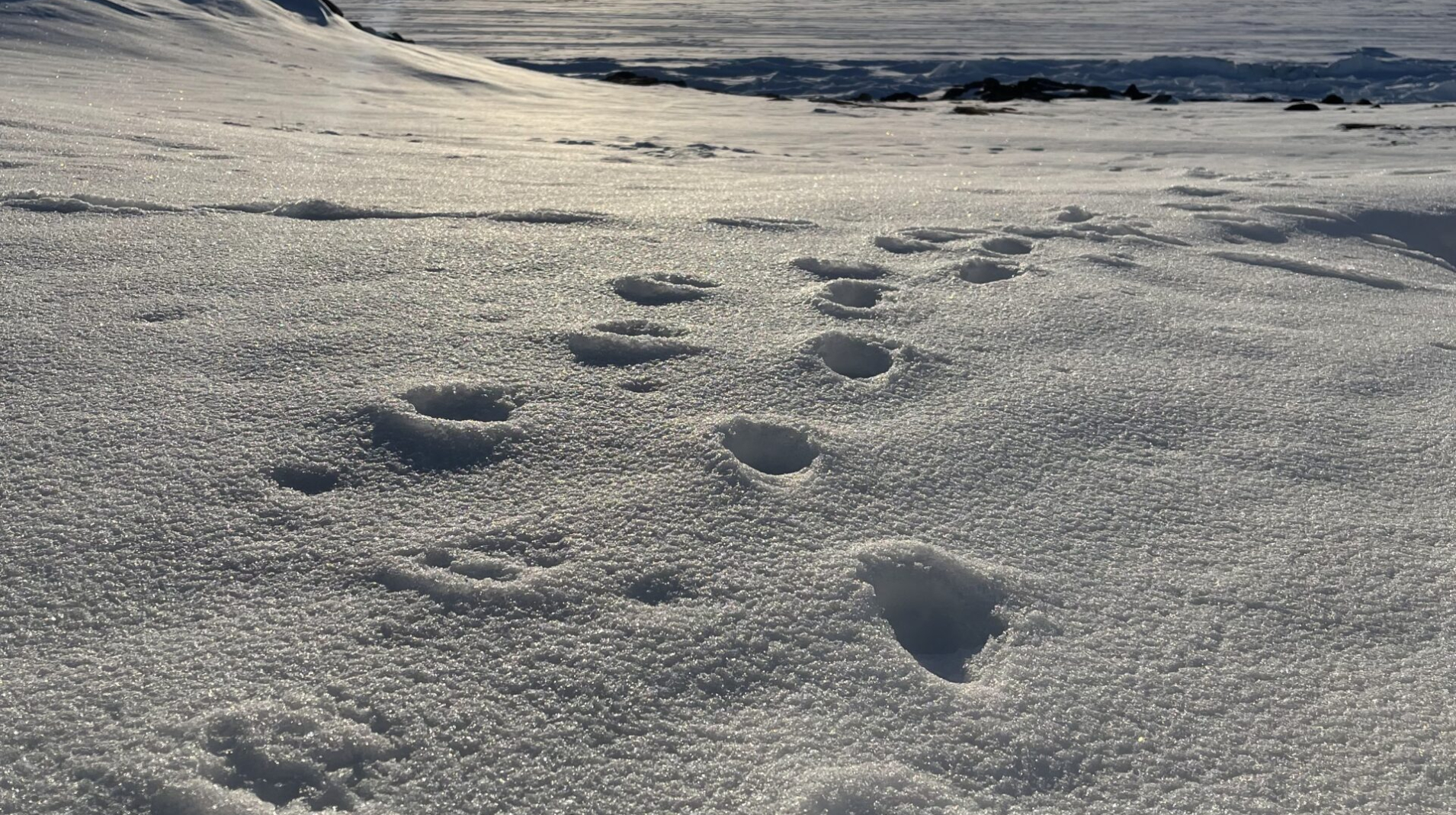 The Open Doors Programs – The Open Doors